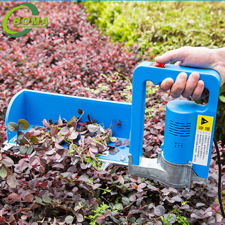 Low Price Mini Tea harvester for Tea Plantation - BOMA Garden Tools