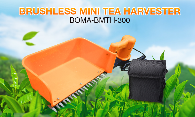 Waterproof Tea Plucking Machine with Battery Backpack for Indian, Sri ...