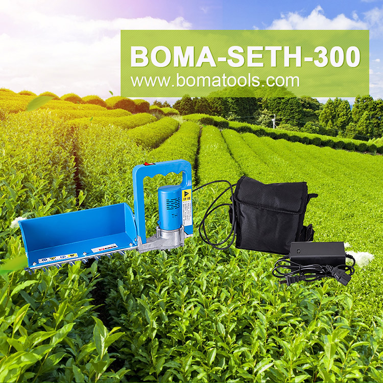 The Newest Battery Powered Tea Leaf Plucking Machine Developed by BOMA ...