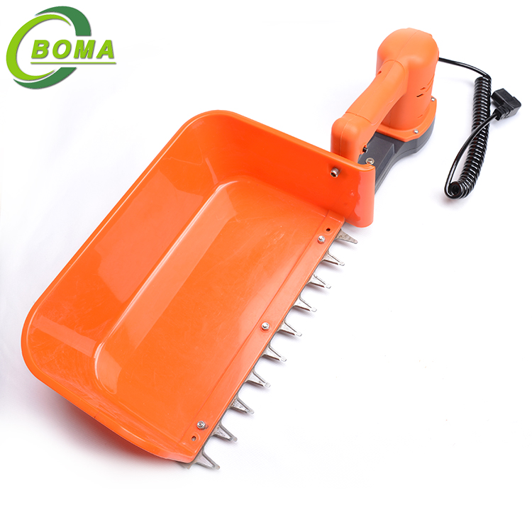 New Product Brushless Motor Tea Leaf Plucking Machines for Tea Garden ...